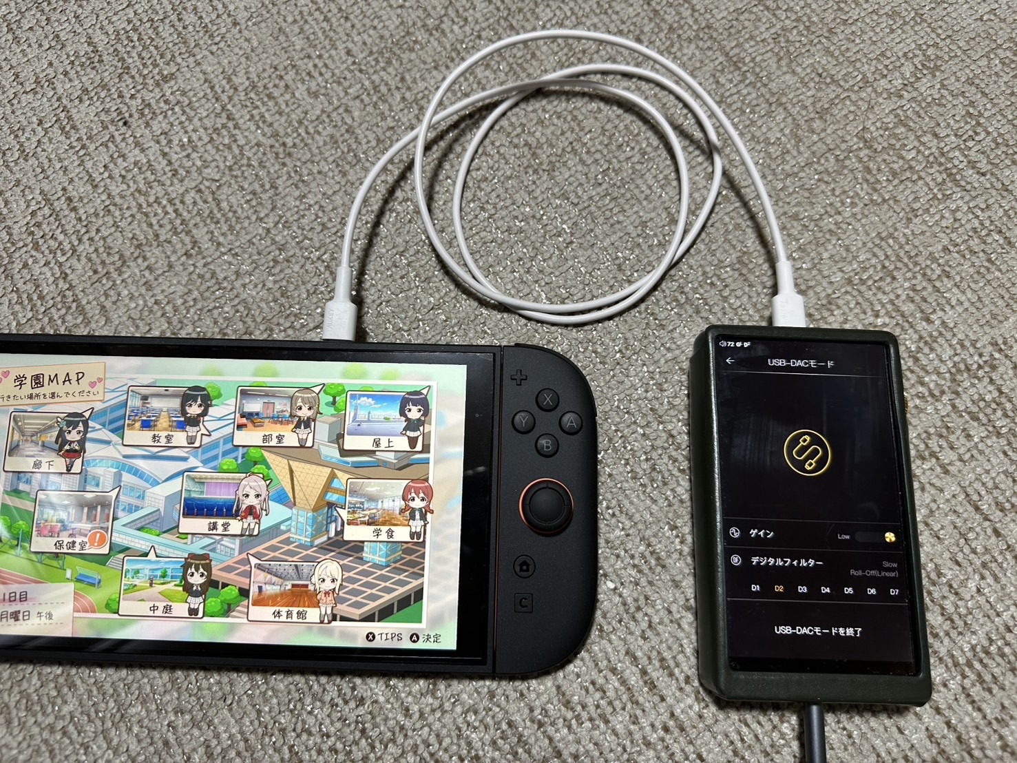 Nintendo Switch2はUSB Audio 2.0対応！ほとんどのUSB-DACが接続可能！ - アングリーキャット！